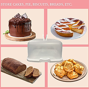 St@llion Plastic Large Square Cake Carrier with Lid Carry Handle and Easy Locking, Storage Container Lockable, Christmas Cookie Box, Trick-or-Treat 35 cm x 15 cm (Pack of 2)