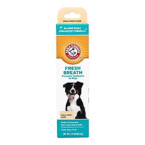 Arm & Hammer for Pets Clinical Care Dental Enzymatic Toothpaste for Dogs | Soothes Inflamed Gums | Safe for Puppies 1 Pack Fresh Breath Vanilla Ginger