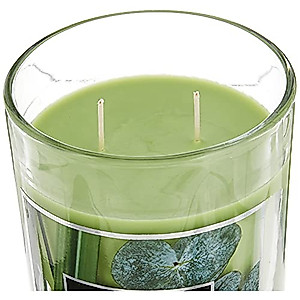 Aromascape PT41900 2-Wick Scented Jar Candle, Bamboo & Eucalyptus, 19-Ounce, Green