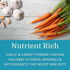 Alka•Dog — Morter HealthSystem Best Process Alkaline — Nutrient Rich Superfood Powder for Dogs with Probiotics, Trace Minerals, Enzymes & Antioxidants