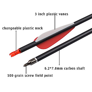 28 inch Carbon Arrow Hunting Arrows with 100 Grain Removable Tips for Archery Compound & Recurve & Traditional Bow Practice Shooting (Pack of 12)