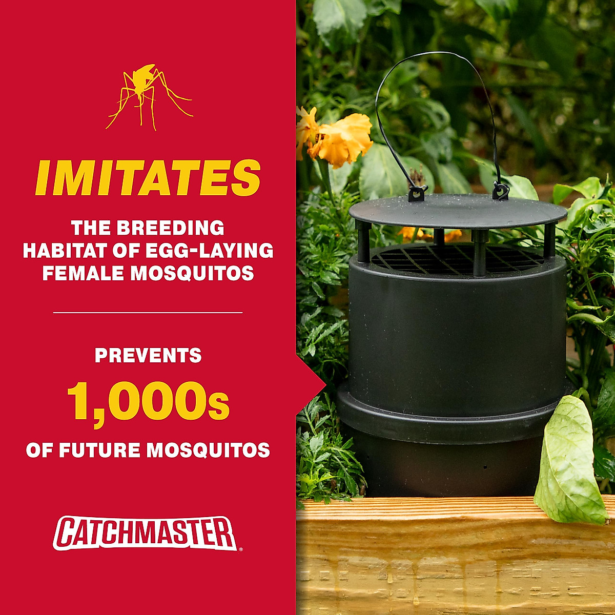 Catchmaster Oasis Ovi-Mini Mosquito Trap 4Pk, Home Outdoor Mosquito Control, Mosquito Killer Outdoor, Pet Safe Backyard Insect Killer, Glue Board Bug Catcher, Pool, Patio, Shed & Garden Pest Control