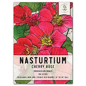 Seed Needs, Cherry Rose Nasturtium Seeds - 70 Heirloom Seeds for Planting Tropaeolum Minus - Edible Flowers, Attracts Butterflies, Bumblebees & Other Pollinators (Small Pack)