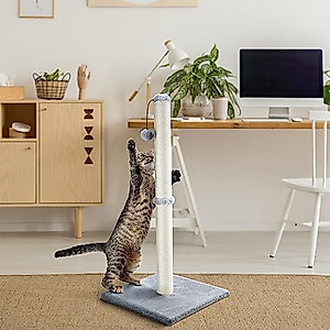 Dimaka 29" Tall Cat Scratching Post for indoor Cats and Kittens, Cat Activity Scratcher Premium Sisal Rope Scratch Tree with Dangling Ball (Grey)