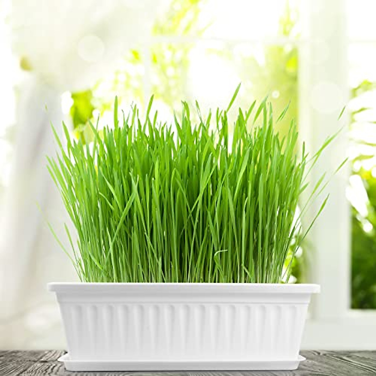 10 Pack Window Planter Box, 17 inch Rectangular Flower Planter Boxes with Tray for Indoor and Outdoor Flower Balcony Windowsill Patio Garden (White)