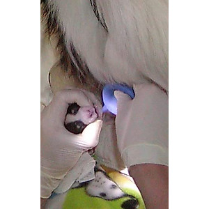 Puppy Express Whelping Kit for up to 12 for Puppies Dogs