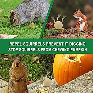 SUAVEC Squirrel Repellent Outdoor, Chipmunk Repellent Outdoor, Squirrel Deterrent Mint, Squirrels Repellent for Garden, Outdoor Repellent Squirrels for Attic, Keep Squirrel Away for Plants -8 Pack