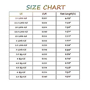 Ehauuo Kids Wheels Shoes with Lights Rechargeable Roller Skates Shoes Retractable LED Flashing Sneakers Wheels Shoes for Unisex Girls Boys Beginners Gift