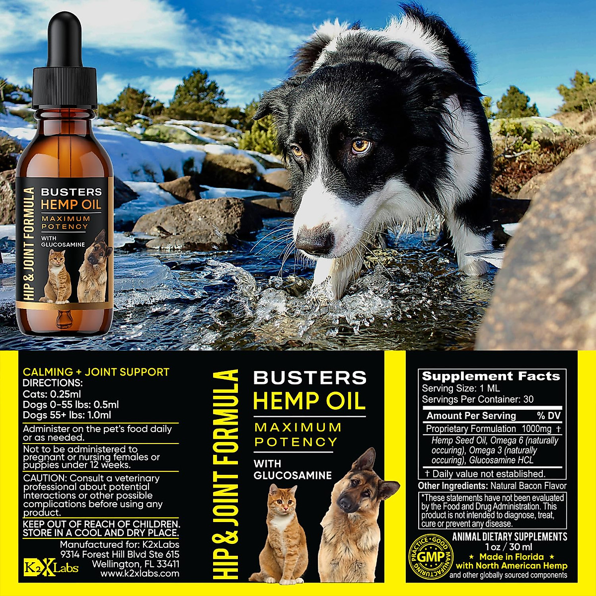 Busters Hip and Joint Hemp Oil for Dogs Formula with Glucosamine, 2Pack 2Month Supply, Pain Relief for Cats, and Pets, Advanced Mobility Support