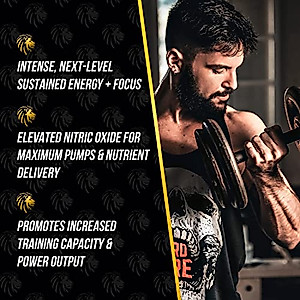 ALPHA LION Superhuman Extreme Pre Workout Powder, Beta Alanine, L-Taurine & Tri-Source Caffeine for Sustained Energy, Nitric Oxide & Citrulline for Pump (21 Servings, Grape Flavor)