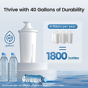 AQUA CREST Replacement for Brita® Water Filter, Pitchers and Dispensers, Classic OB03, Mavea® 107007, and More, NSF Certified Pitcher Water Filter, 1 Year Filter Supply, 6 Count
