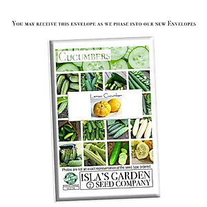 Lemon Cucumber Seeds for Planting,125+ Heirloom Seeds Per Packet, (Isla's Garden Seeds), Non GMO Seeds, Botanical Name: Cucumis sativus 'Lemon', Great Gift for Home Garden