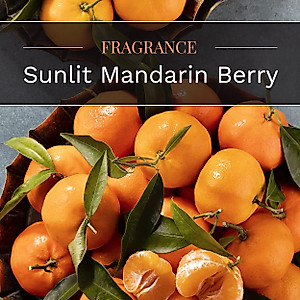 Candle-lite Scented Sunlit Mandarin Berry Fragrance, One 10oz. 3-Wick Aromatherapy Candle with 20-40 Hours of Burn Time, Orange Color, 10 oz