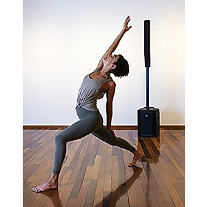 Electro-Voice Evolve 50 1000W Powered Column Speaker Array System, Black