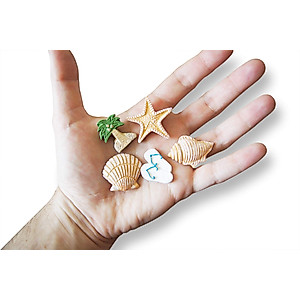 Shoreside Nautical Seashell & Island Miniature Beach Themed Arts and Crafts Stickers Starfish, Seashell, Conch Shell, Palm Tree, & Flip Flop (12 Pieces)