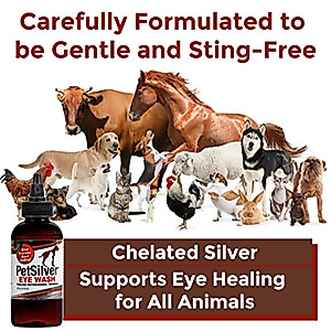 PetSilver Eye Wash Drops for Dogs and Cats with Chelated Silver, Made in USA, Natural Eye Solution, Relief for Inflammation & Eye Irritation, Easy to Apply, 4 fl oz