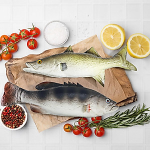 ZENFUN Set of 4 Fake Fish, 11 in Rubber Fishes Plastic Lifelike Sea Fish Set, Pretend Realistic Fake Fishes for Photography Props, Party Display, Kitchen Decor