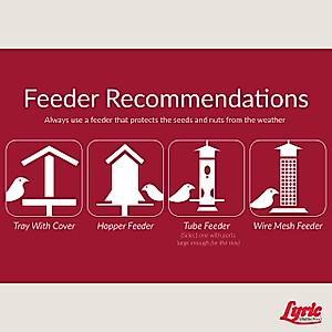 Lyric Fruit and Nut Wild Bird Seed - High Energy Wild Bird Food Mix - Attracts Woodpeckers, Chickadees & Other Songbirds - 5 lb bag