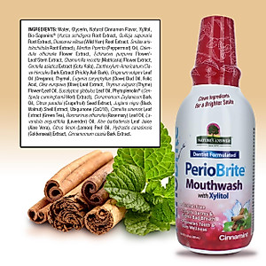 Nature's Answer Periobrite Cinamint Mouthwash| Promotes Healthy Teeth & Gums| Fights Bad Breath| Fluoride-Free, Alcohol-Free, Gluten-Free & Vegan| No Artificial Preservatives 16oz