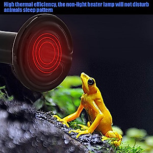 plplaaoo 110V Ceramic Heat Emitter,No Light Ceramic Heat Lamp, Infrared Ceramic Heating Lamps, Reptile Heat Bulb, Infrared Reptile Emitter Bulb for Reptile Pet Aquarium Brooder(75W)