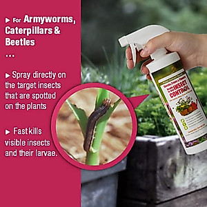 EcoVenger (Formerly EcoRaider) Garden Insect Control 16OZ, Plant Extract Based, Indoor & Outdoor, Kills Aphids, Mealybugs, Spider Mites and Gnats All Stages and Eggs, Non-Toxic Child & Pets Safe