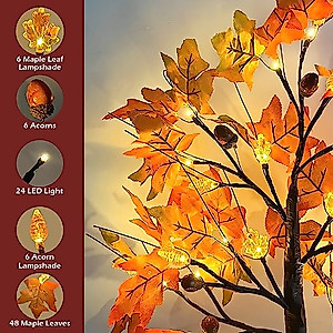 SURCVIO 2 Pack 24 Inch Prelit Fall Maple Tree Fall Decor with 48 LEDs Timer Battery Operated Pinecones Acorns Artificial Autumn Maple Tree for Thanksgiving Harvest Indoor Outdoor Home Decorations