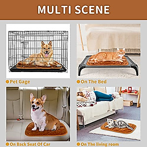 AUPETEK Self-Warming Cat Bed Indoor/Outdoor Super Soft Self Heating Pet Mat Washable Thermal Pad for Cat & Dog……