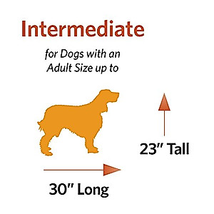 MidWest Homes for Pets Newly Enhanced Double Door iCrate Dog Crate, Includes Leak-Proof Pan, Floor Protecting Feet, Divider Panel & New Patented Features