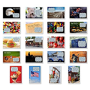 AMERICANA FUN FACTS postcard set of 20 postcards. Iconic America and American culture post card variety pack. Made in USA.