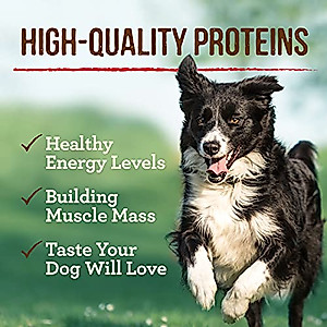 Merrick Grain Free Wet Dog Food Real Chicken Recipe - (12) 12.7 oz Cans