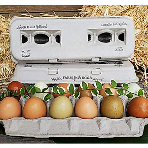 250 Egg Cartons – Vintage Design with Blank Center for Your Custom Stamp at a Cheap Bulk Price, 100% Recycled Biodegradable Cardboard Cartons, Sturdy & Reusable, Holds Small to XL Chicken Eggs
