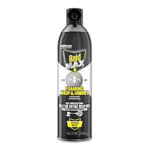 Raid Max Foaming Wasp & Hornet Killer, Fast Coverage Foam, Bug Killer Kills The Entire Nest, 16.5 oz