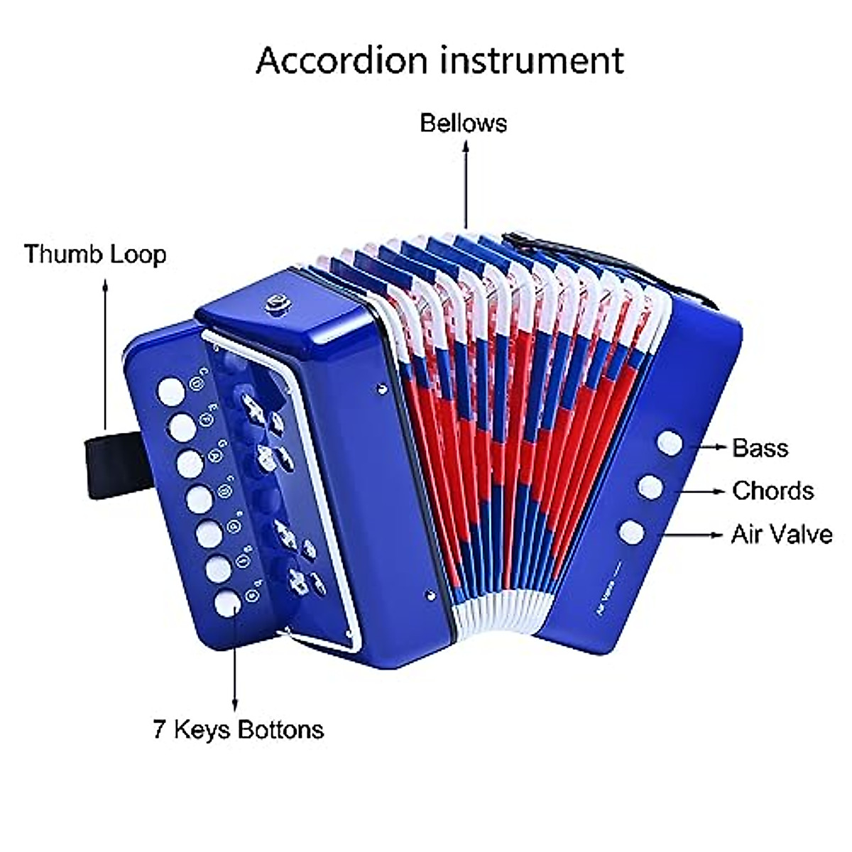 Kids Accordion 10 keys Button Accordian,Musical Toy Instrument,Mini Accordion for Children Beginners (Blue)