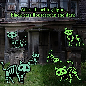 Halloween Garden Lawn Yard Sign, 6 PCS Reflective Black Cat Halloween Decor Clearance Outdoor, Glow in Dark Stakes Scary Family Home Front Yard Sign, Plastic Decoration for Halloween Party (Cat)