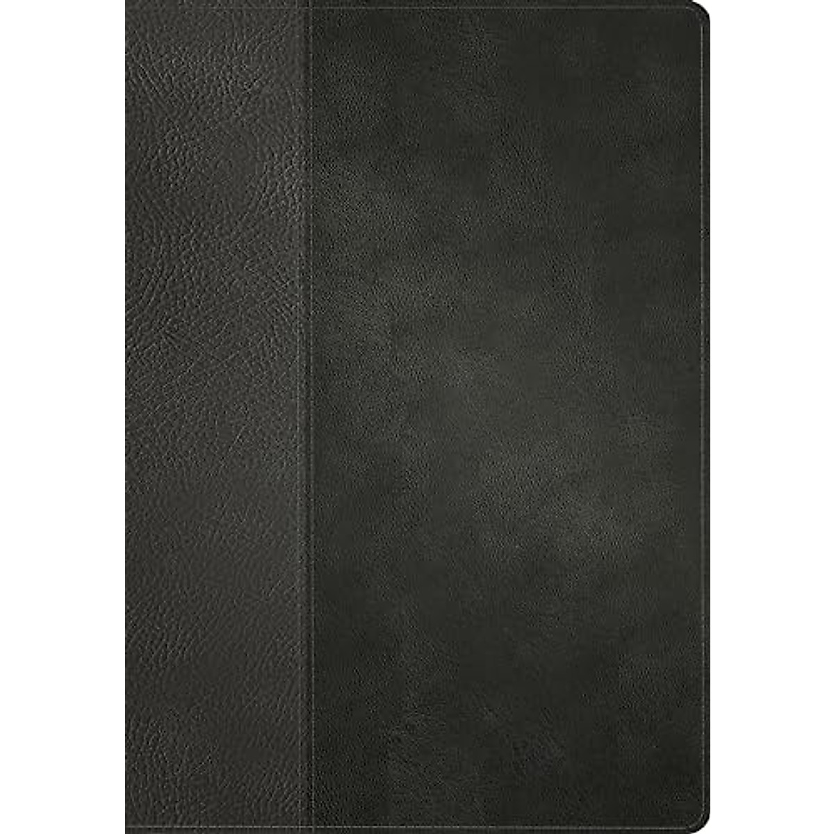 NLT Personal Size Giant Print Bible, Filament Enabled (LeatherLike, Black/Onyx, Red Letter): Includes Free Access to the Filament Bible App Delivering ... Notes, Devotionals, Worship Music, and Video