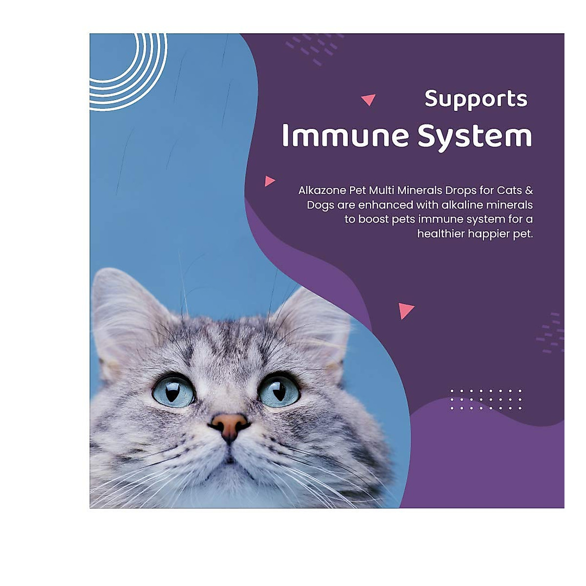 Alkazone Alkaline Multi Mineral Drops for Cats and Dogs - Animals are Naturally Designed to be More Alkaline Than Acidic. Their Bodies can Benefit from Using Alkaline Water for Pets with Minerals