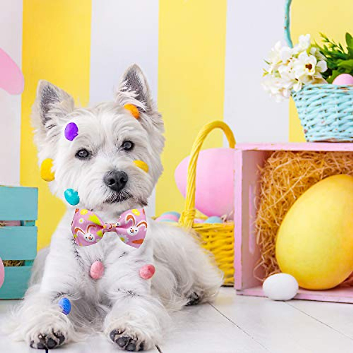 Pohshido Easter Cat Collar with Bow Tie, Holiday 2 Pack Kitty Kitten Cute Bunny Carrot Collar for Girls and Boys (Hoppy Hour/Pink)