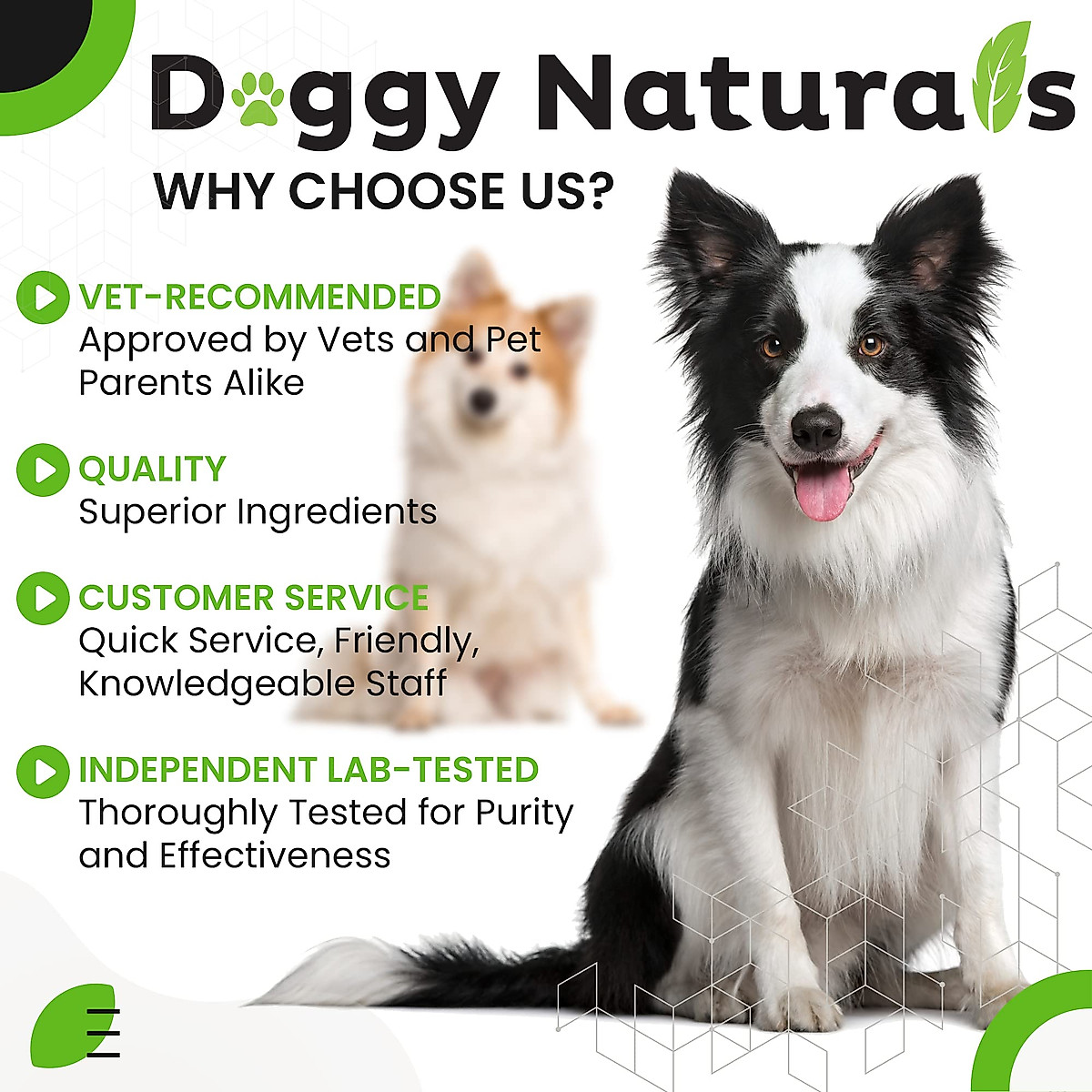 Pet Health Pharma Dog Ear Cleaner Wipes with Aloe and Eucalyptus (100 Count) - Otic Cleanser for Dogs (Made in U.S.A) (100ct Wipes with Aloe & Eucalyptus)