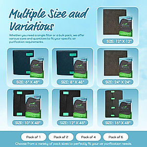 Breathe Naturally Universal Cut To Fit Activated Carbon Air Filter - Replacement Charcoal Air Filters - Carbon Filter Sheet for Air Purifier, Vent Filters & More - Made in USA (Pack of 1, 12x48)