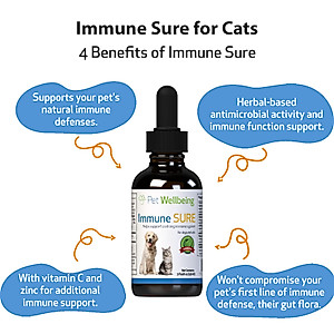 Pet Wellbeing Immune Sure for Cats - Vet-Formulated - Immune System Support & Protection - Natural Herbal Supplement 2 oz (59 ml)