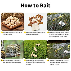 32" Live Animal Traps,Humane Animal Trap for Stray Cats up to 16.5 pounds, Raccoons, Squirrel, Skunk, Mole, Groundhog, Armadillo, Rabbit,Steel Foldable with Pedal Triggers