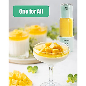 Portable Blender, Personal Blender for Shakes and Smoothies, Fresh Juice Mini Fast Blender with 6 Blades, Rechargable Single Blender BPA Free for Kitchen, Sport, Travel (Green)