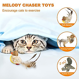 LEFFSOFIZ 2 PCS Cat Toys for Indoor Cats Chirping Bird Cat Toys Interactive Feather Toy Birds Squeak Kitten Toys Cat Toy Electronic Bird Toys for Kittens