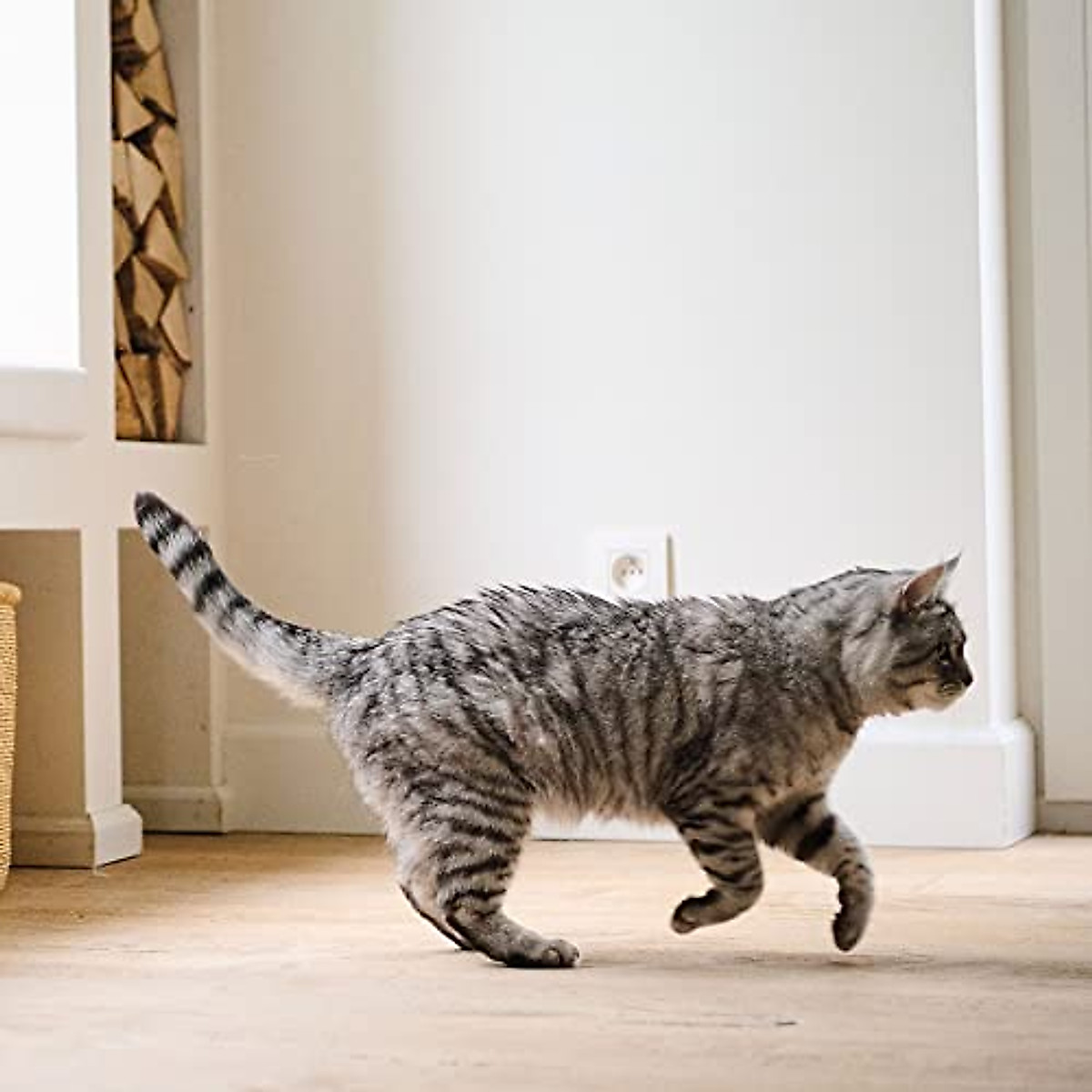 Beaphar Top 10 Cat Vitamin 180 Tablets