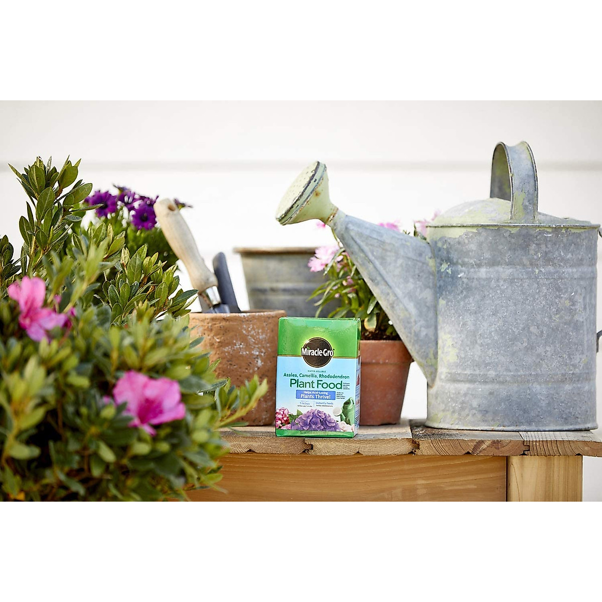 MIRACLE GRO ACID 1.5#