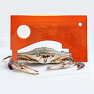 PLIS Dungeness Crab Gauge Measure Multi Shrimp Clam Measuring Tool for Oregon, Washington and California (Orange)