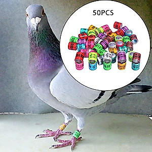 Gazechimp 50pcs Reusable 2023 Pigeon Leg Rings Numbered 8mm Bird Foot Bands for Parrot, Quail, Chicks, Small Poultry, Canary, Lovebirds, Ducks, Mixed Color