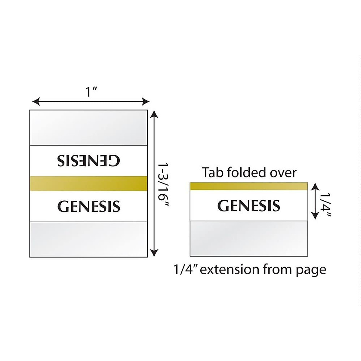 Tabbies Gold-Edged Bible Indexing Tabs, Old & New Testament, 80 Tabs Including 64 Books & 16 Reference Tabs (58331)