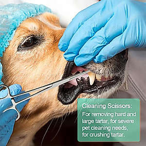 Qubccum 8 Pcs Dog Tartar Remover Pet Teeth Cleaning Tool, Cat Plaque Off Calculus Remover, Dog Tooth Scaler and Scraper, Stainless Steel Dental Forceps for Dogs and Cats Oral Care