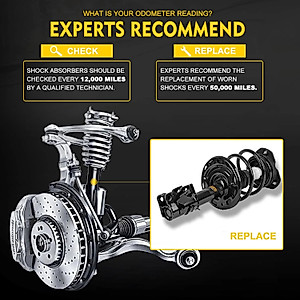 OREDY 2PCs Front Struts w/Coil Spring Assembly Replacement for Nissan Pathfinder XTERRA Suzuki Equator - 171103